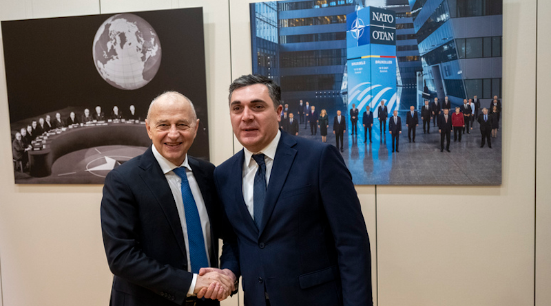 NATO Allies Reaffirm Support To Georgia And Stress Importance Of ...